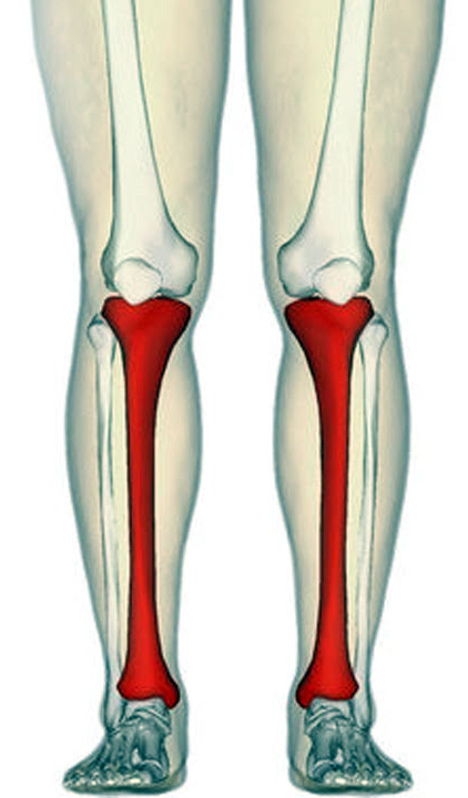 Which football shin guard to choose