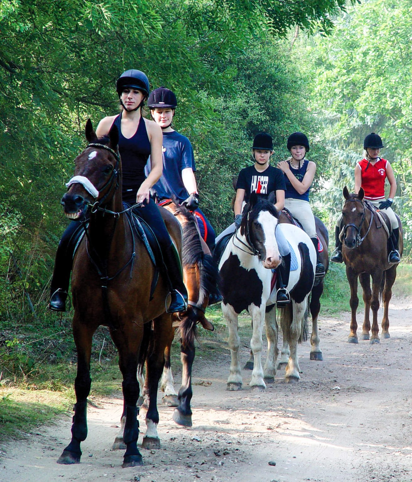 Equestrian Schools & Summer Camps 2025 - all levels available